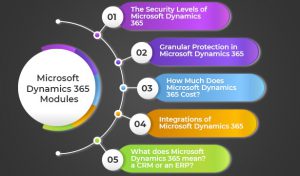 Microsoft Dynamics 365 | What is Microsoft Dynamics 365 CRM?